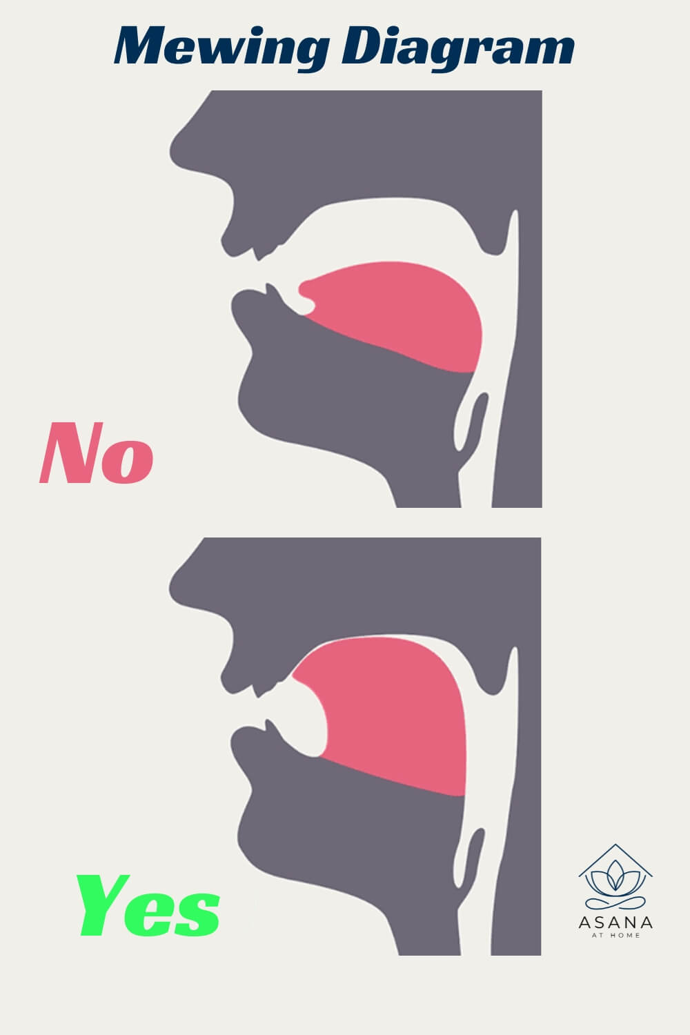 Nabho Mudra Versus Mewing: In Defence of Yoga Nabho Mudra Versus Mewing: In Defence of Yoga