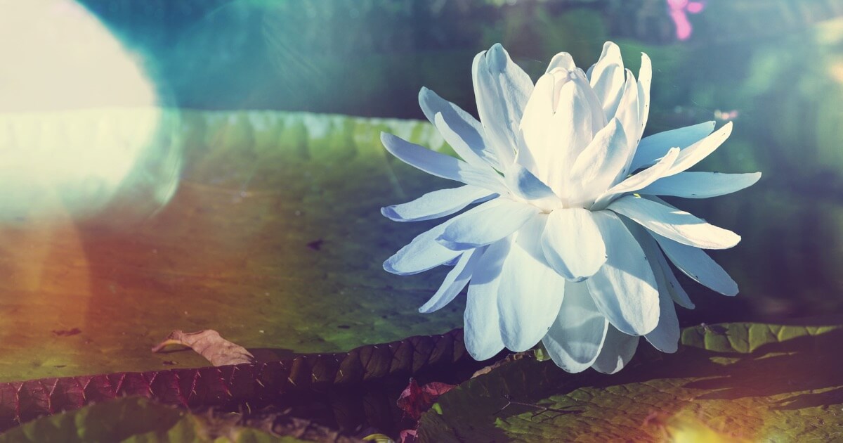 Yantras and Mantras: How They Work and Their Benefits